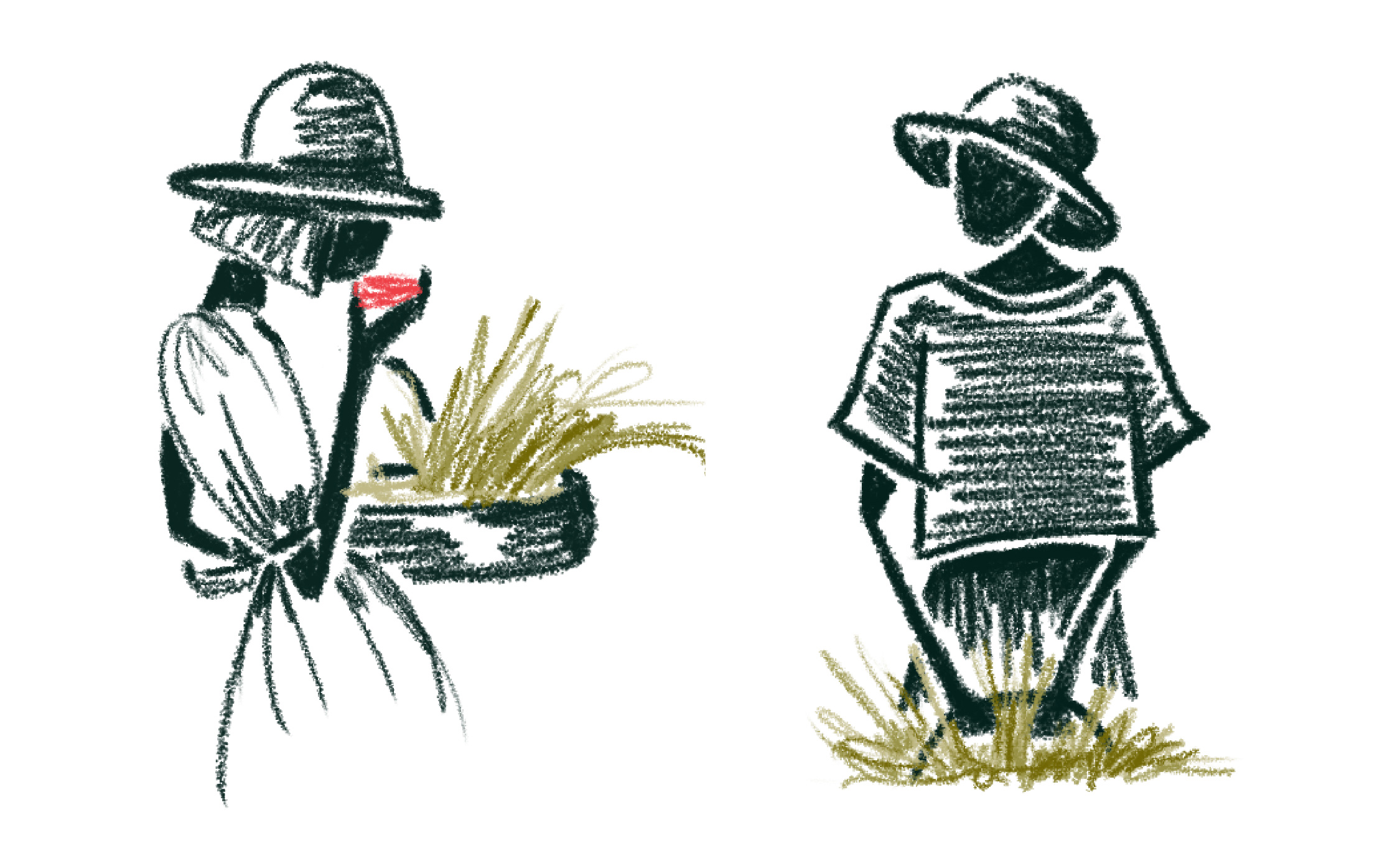 Home Rule : The Peasant Wife - The Peasant Wife