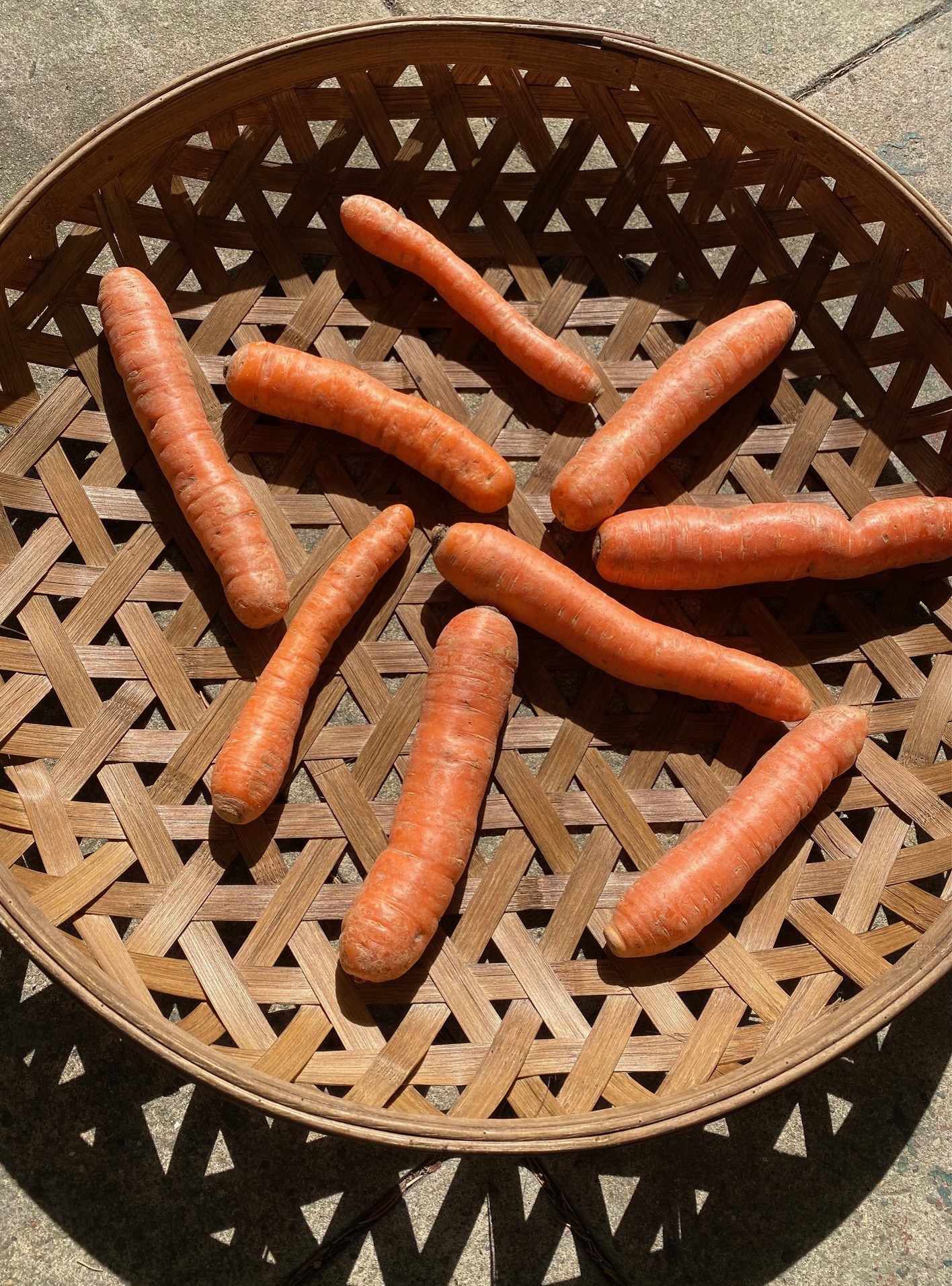 24 Carrot Ideas : The Peasant Wife - The Peasant Wife