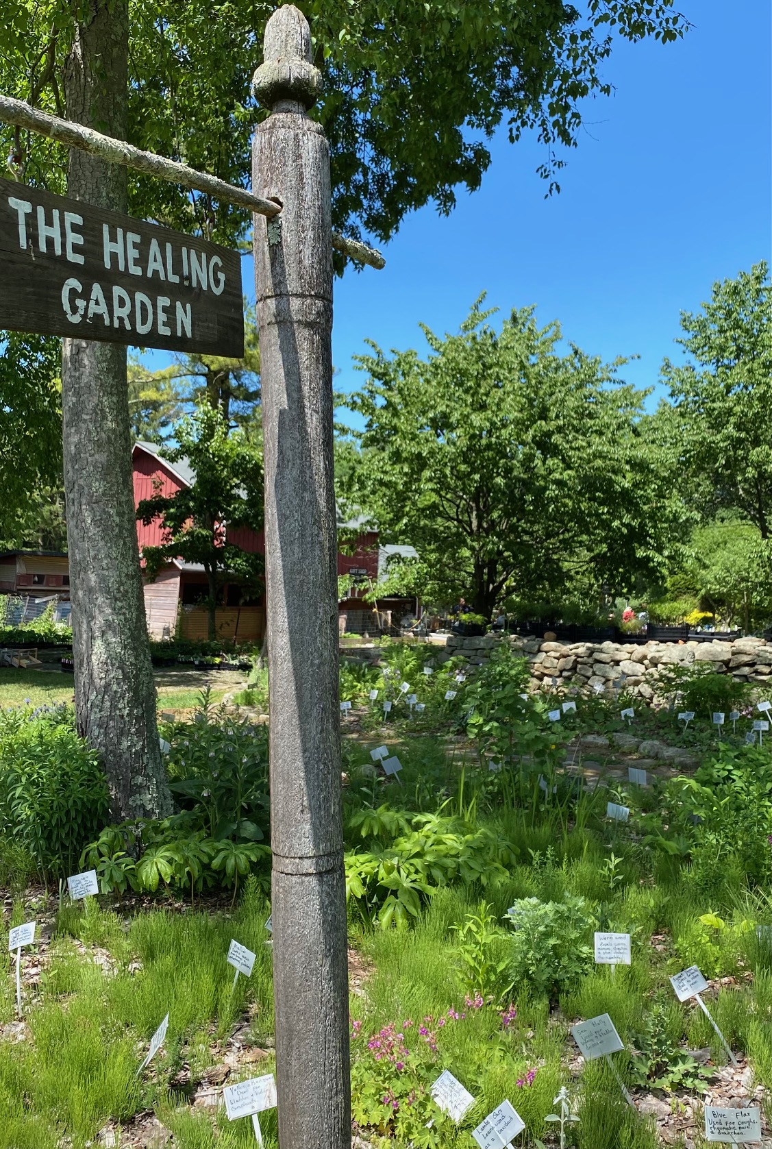 Well-Sweep Herb Farm: Open House : The Peasant Wife - The Peasant Wife