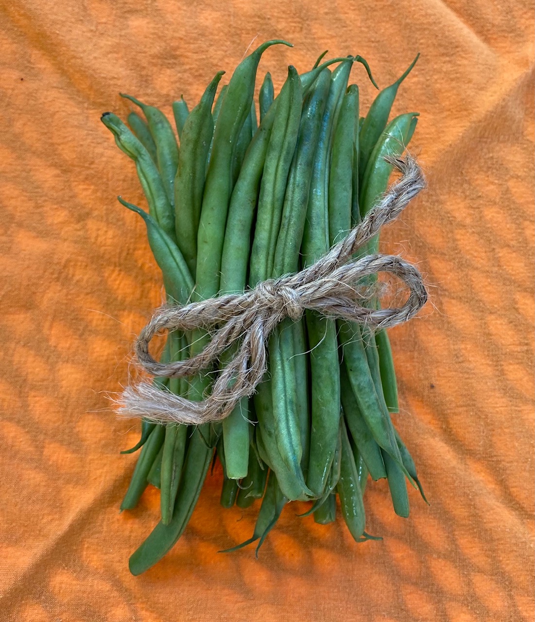 Green Beans: A Bundle of Possibilities : The Peasant Wife - The Peasant ...