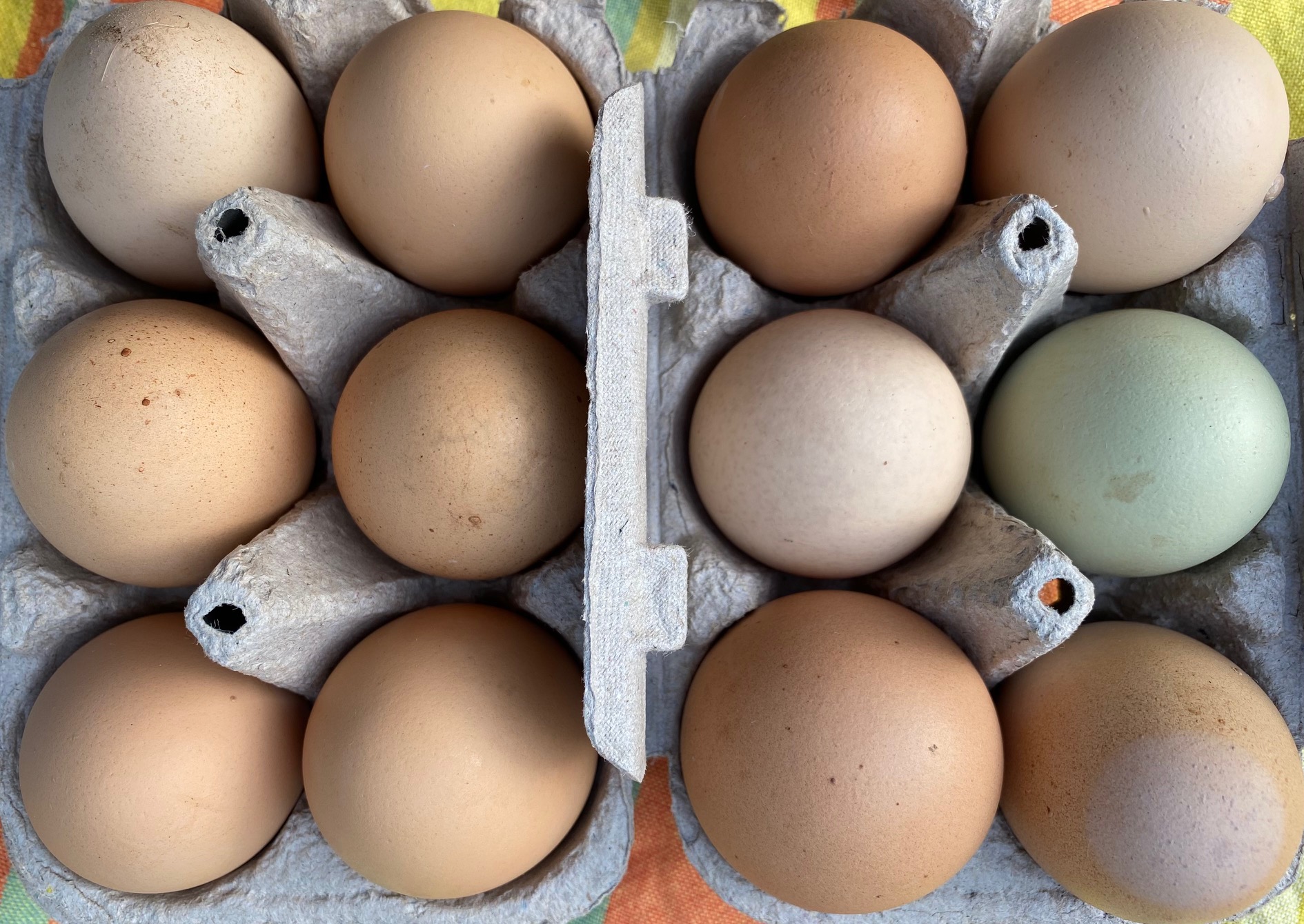 Old Reliables, New Ways: 3-28-22 : The Peasant Wife - The Peasant Wife