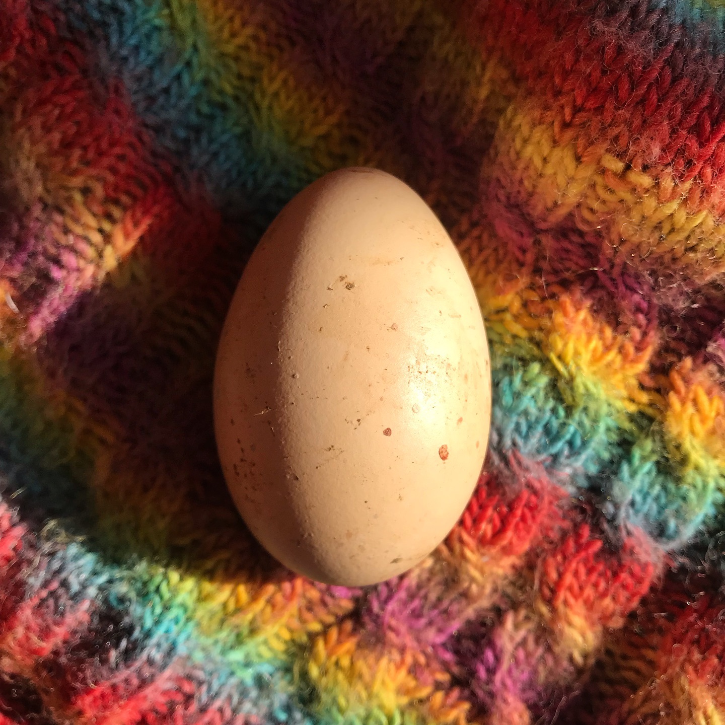 The Good Egg : The Peasant Wife - The Peasant Wife