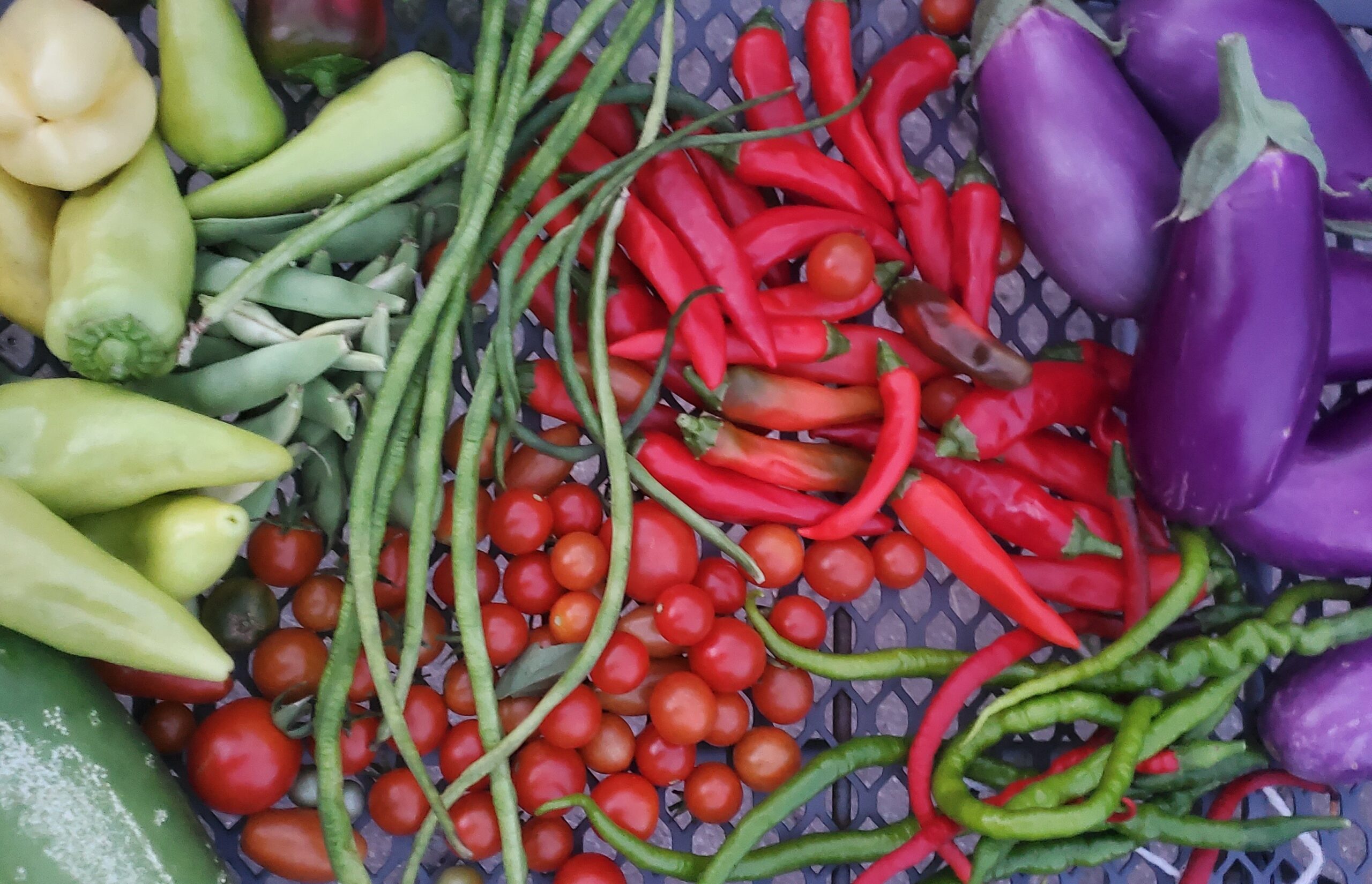 Delicious Autumn : The Peasant Wife - The Peasant Wife