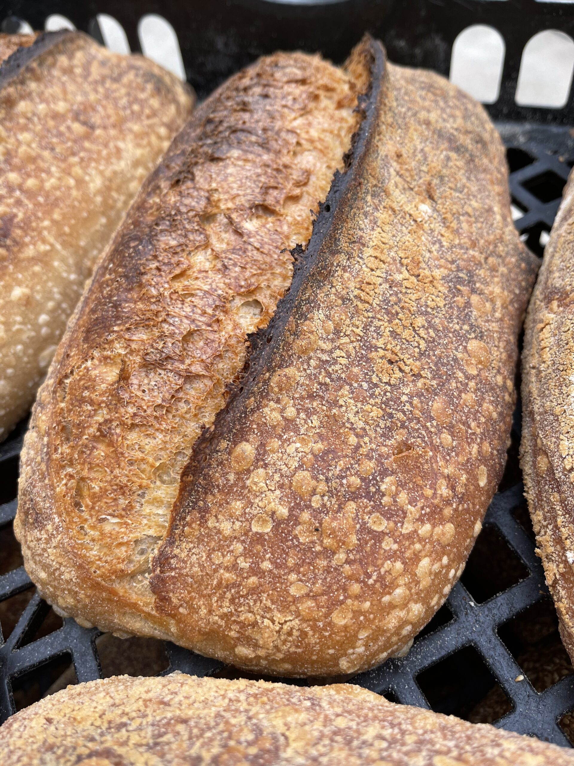 Paulo Velasco, Bread & Culture : The Peasant Wife - The Peasant Wife