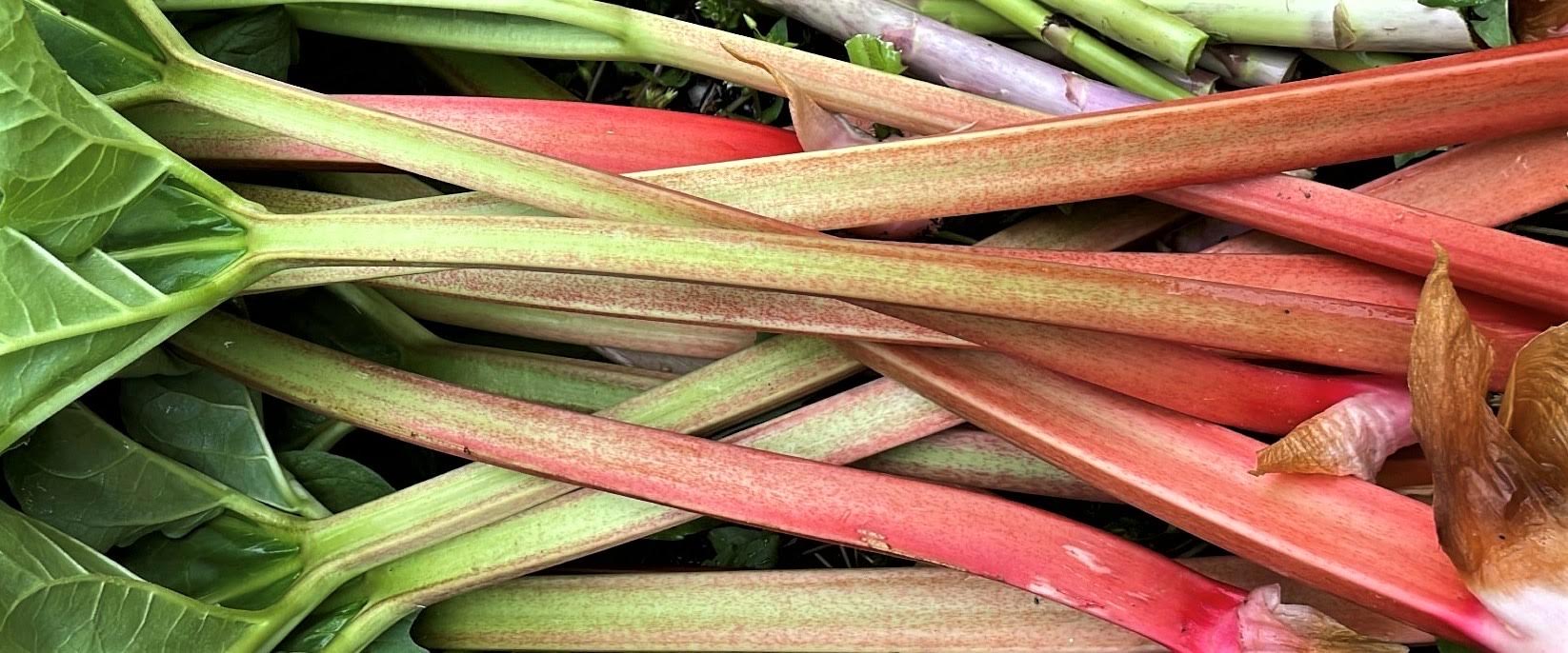 The Rub On Rhubarb : The Peasant Wife - The Peasant Wife