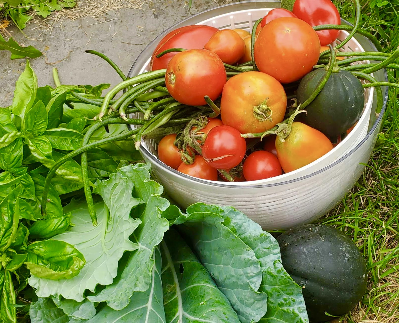 Beauty of the Bounty : The Peasant Wife - The Peasant Wife