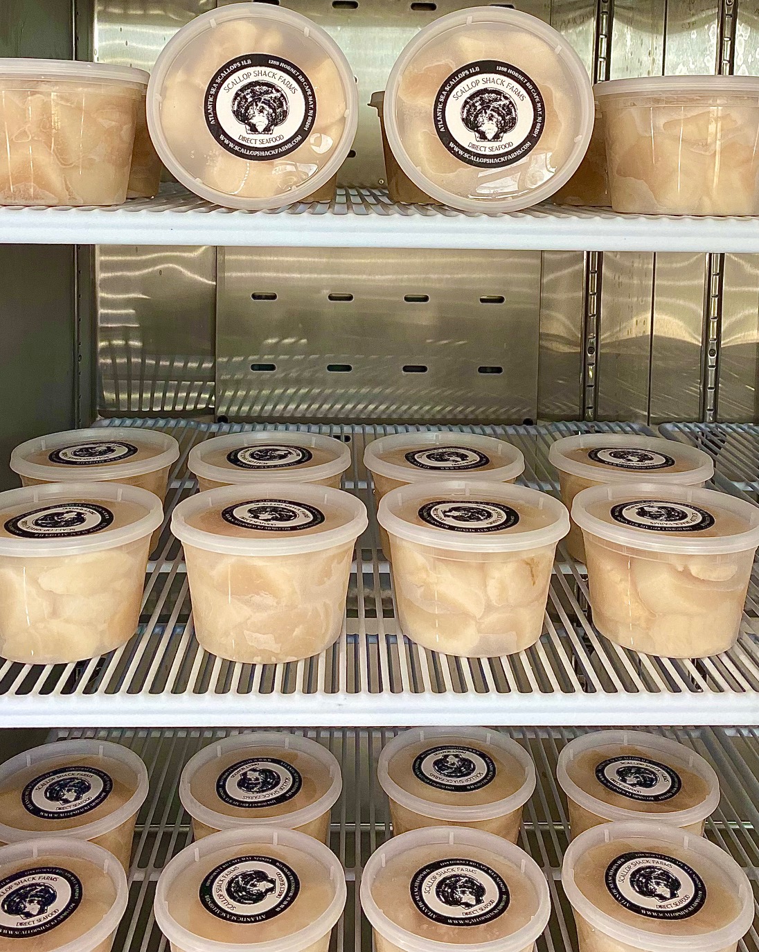 The Fab 5 of ’23 : The Peasant Wife - The Peasant Wife