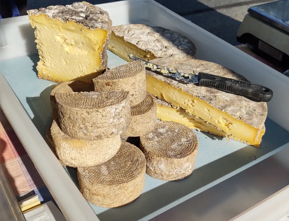 Cheesemaking Does Not Stand Alone : The Peasant Wife - The Peasant Wife