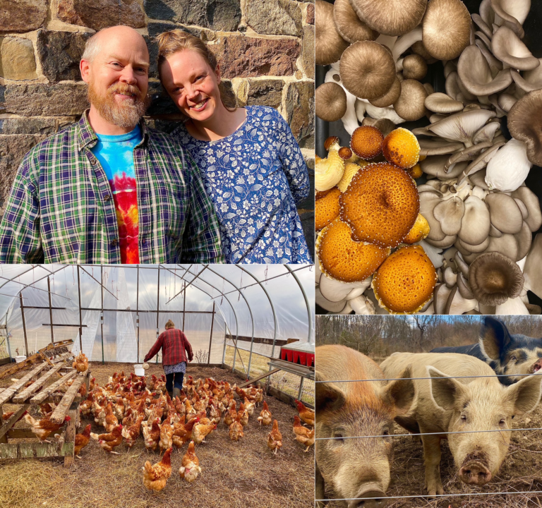 Having It All: Four Fields Farm : The Peasant Wife - The Peasant Wife