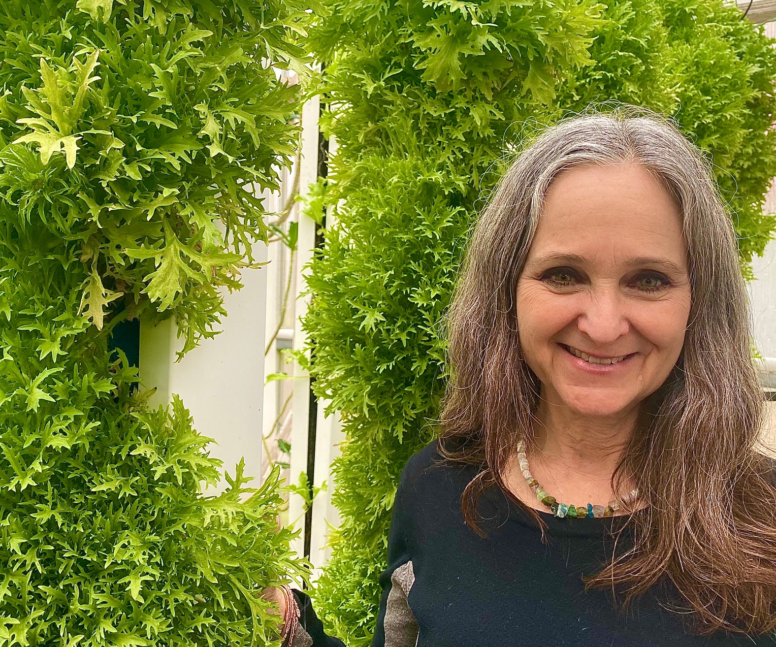 Direct Connections : The Peasant Wife - The Peasant Wife