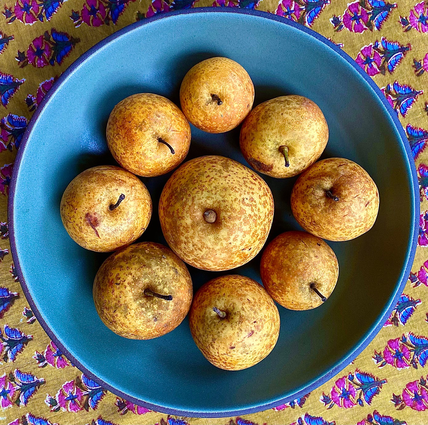 The Fab 5 of ’24 : The Peasant Wife - The Peasant Wife