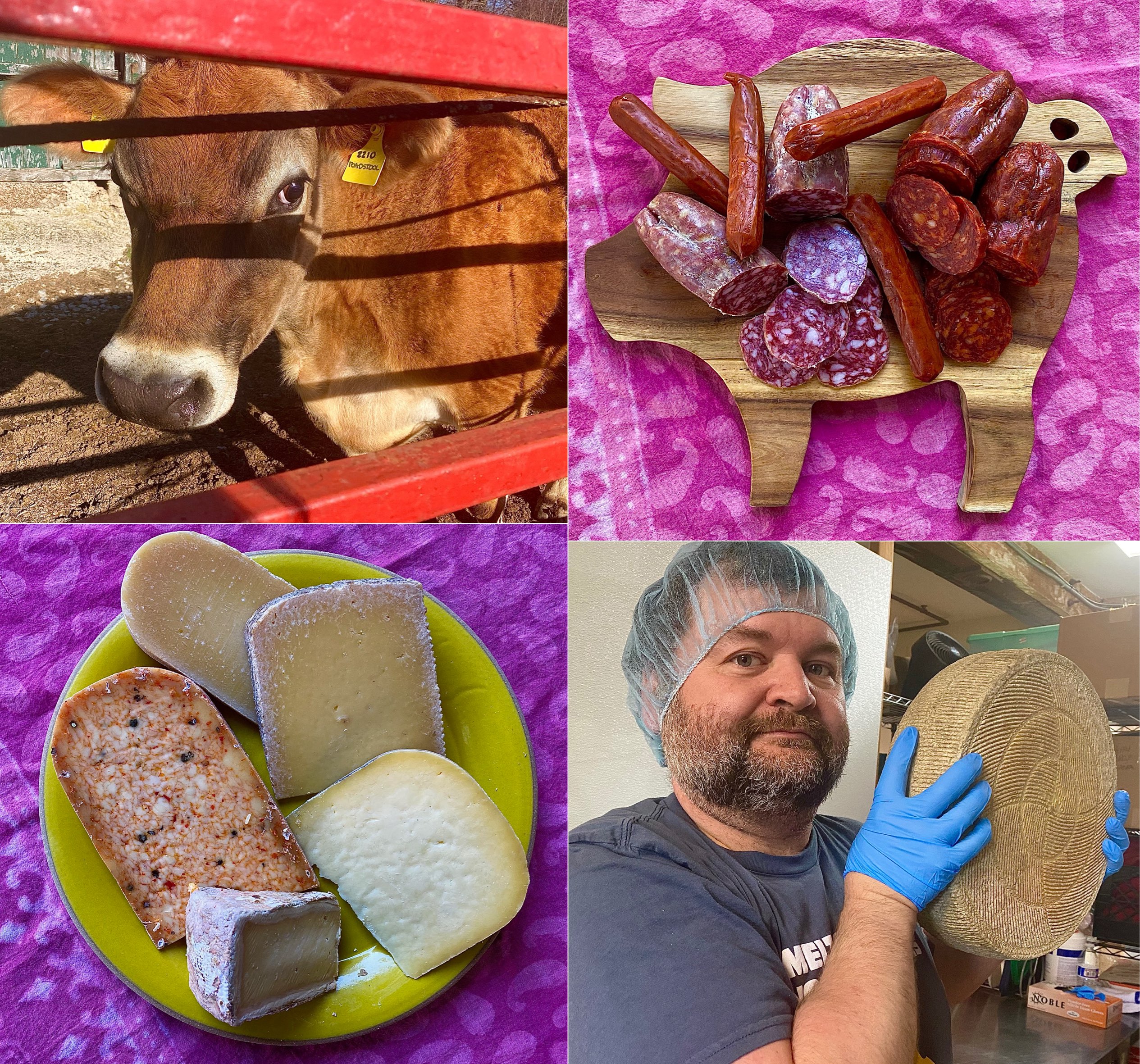 Blessed are the Cheesemakers : The Peasant Wife - The Peasant Wife