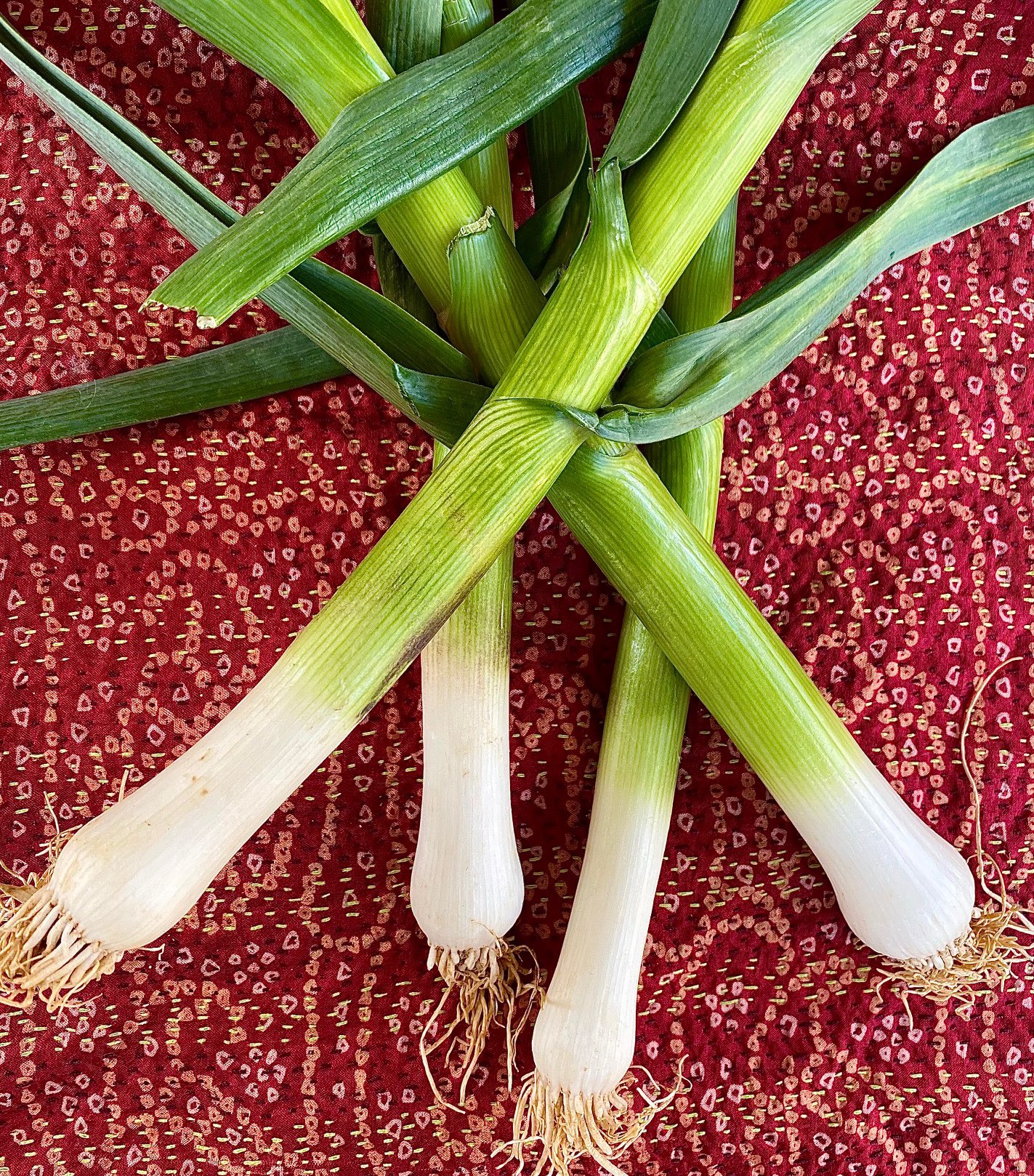 Good Tidings from Spring Garlic : The Peasant Wife - The Peasant Wife